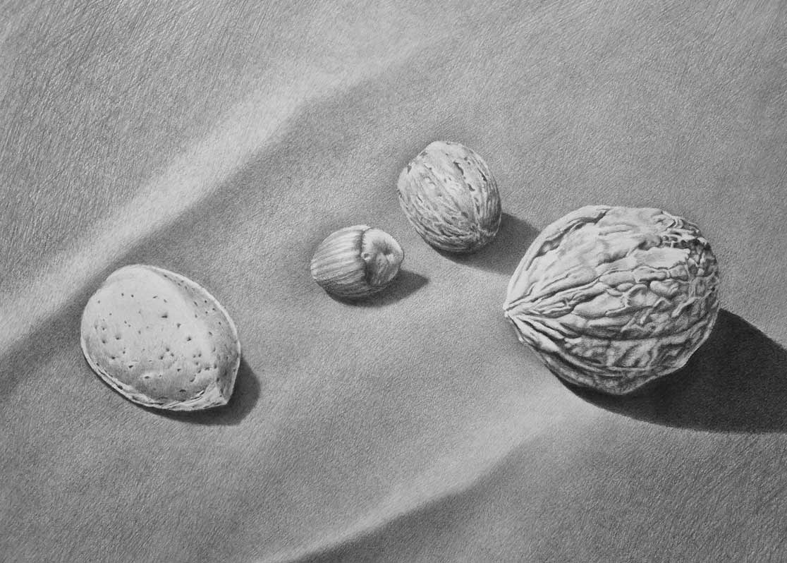 Drawings of objects of nature by Daniel